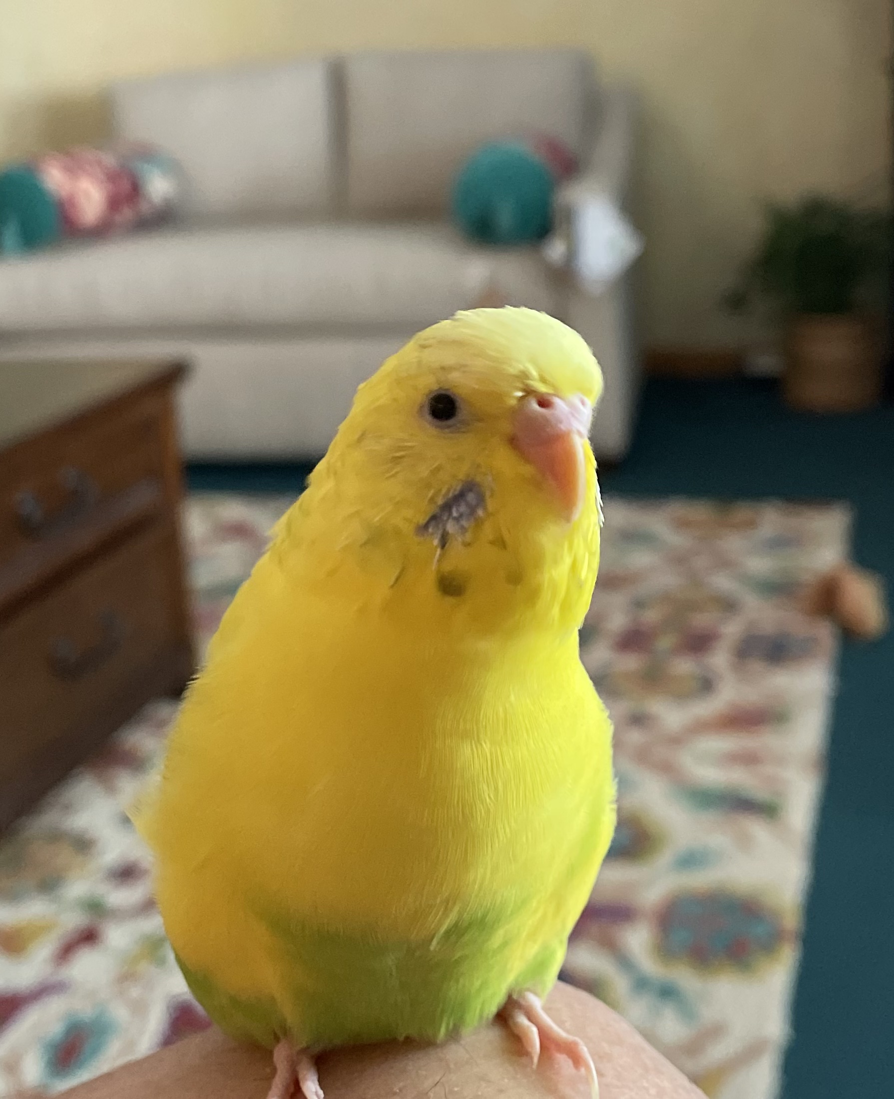 Hamilton, NJ – Sandy – August 24, 2022